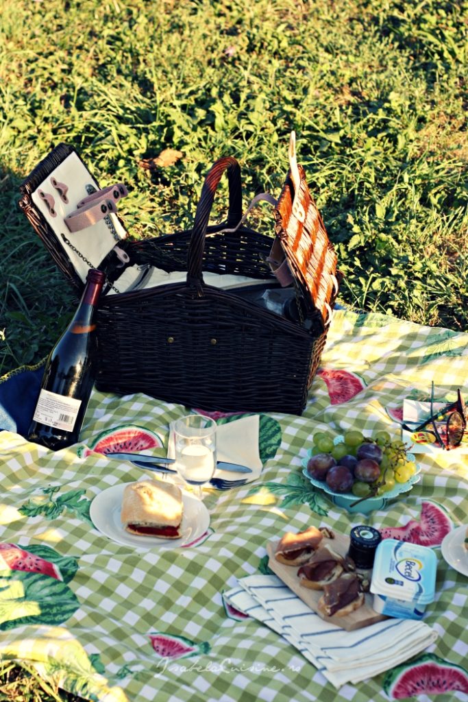 Picnic pe Insula din Parcul Tineretului + castigatorul concursului ...